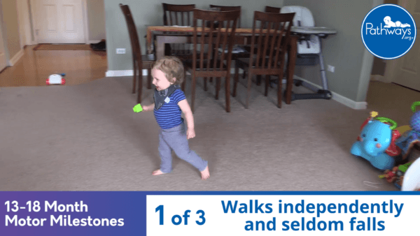 Pathways.org | 13-18 Month Old Motor Milestones