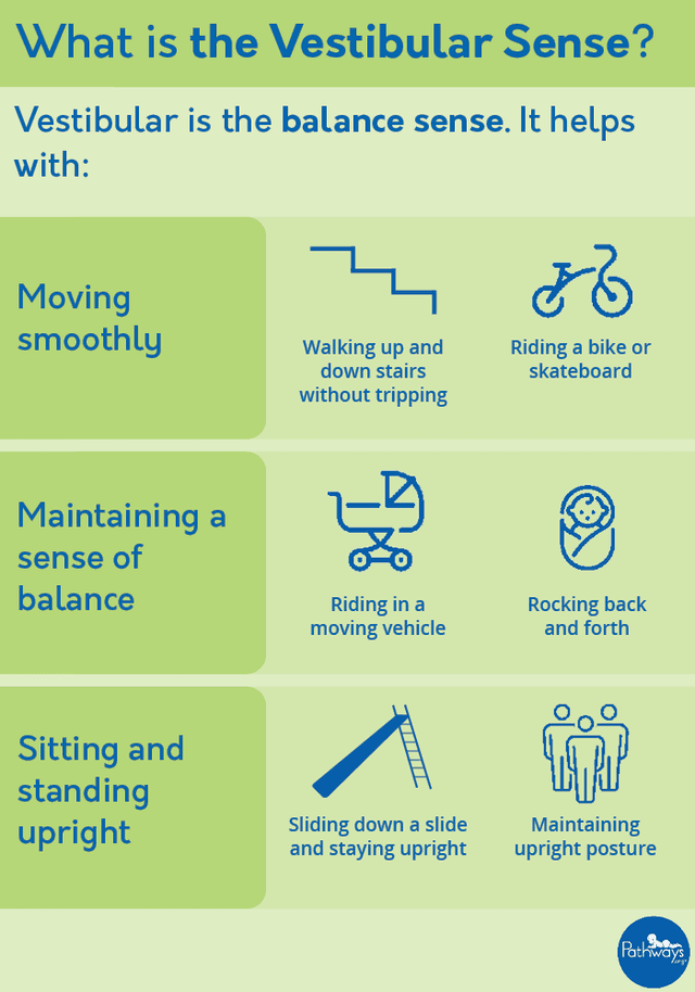 Pathways.org | What is the Vestibular Sense? Understanding the “Balance ...