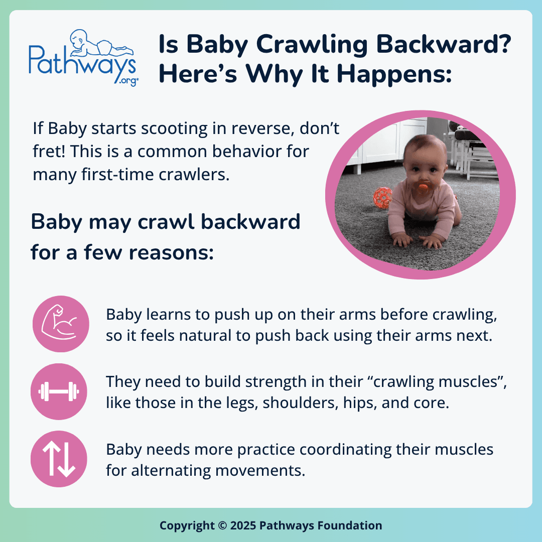 Pathways.org | Why Is My Baby Crawling Backwards?