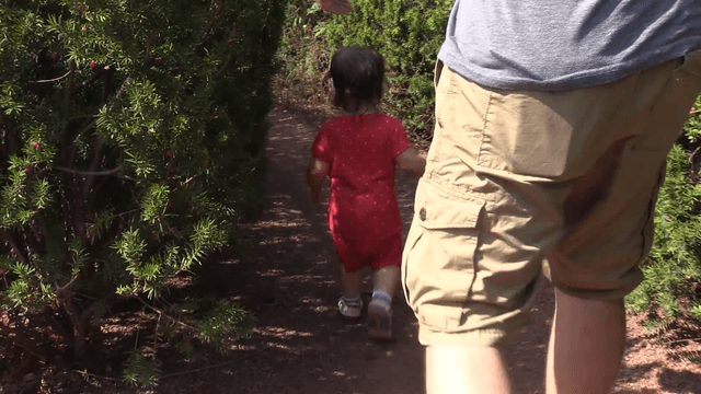 Pathways.org | Follow the Leader