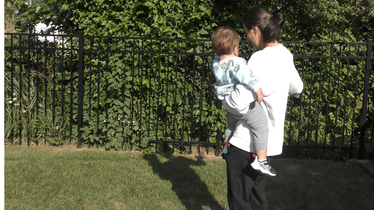 Pathways.org | Shadow Show